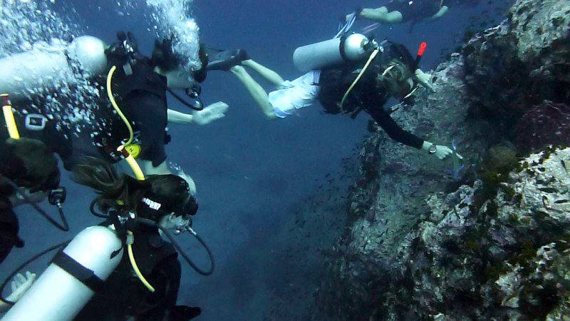 Thailand-Reiseblog: Ko Tao - Das erste Mal Tauchen